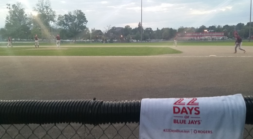 Report calls for upgrades to Brewer Park field – Carleton University ...